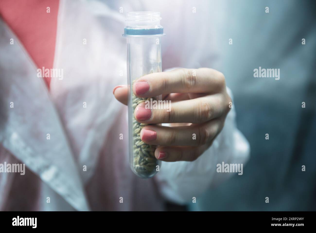 Genetic engineering crop lab hi-res stock photography and images - Alamy