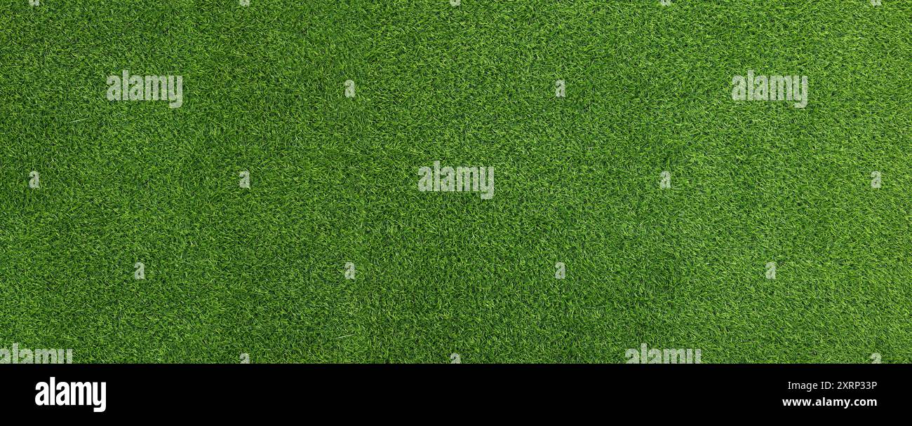 Green artificial grass as background, banner design Stock Photo - Alamy