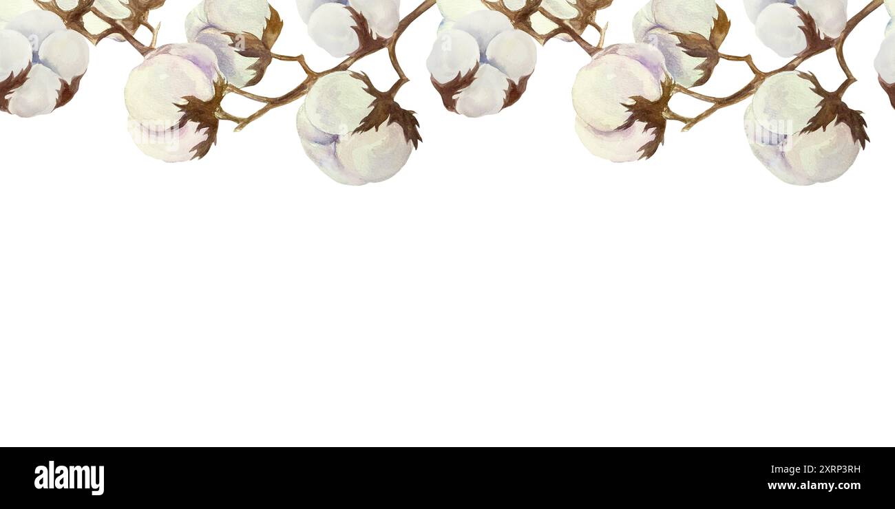 Cotton seamless border, horizontal. Hand drawn watercolor illustration ...