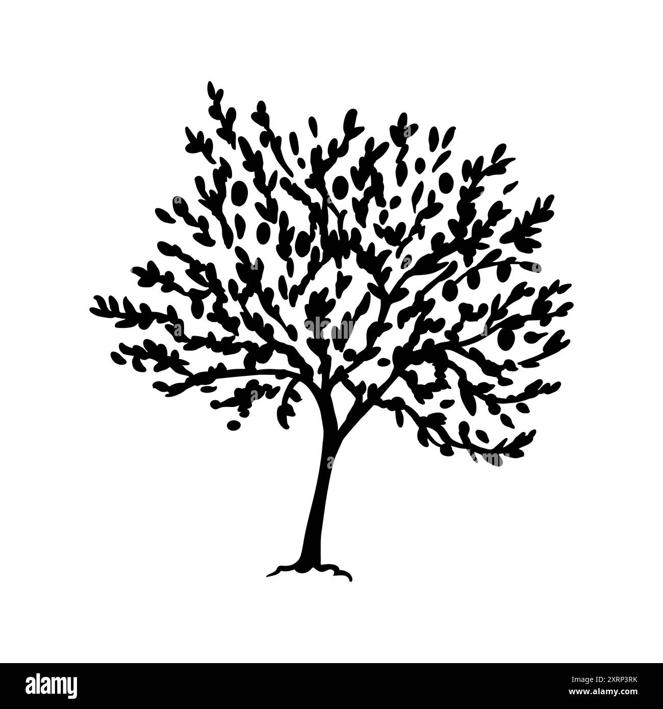Olive Tree. Young plant with leaves and fruits. Hand drawn vector ...