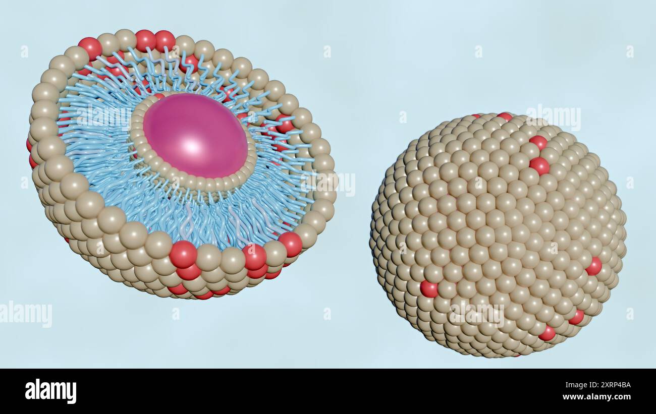 A 3D rendering featuring a half-cut liposome and other liposomes ...