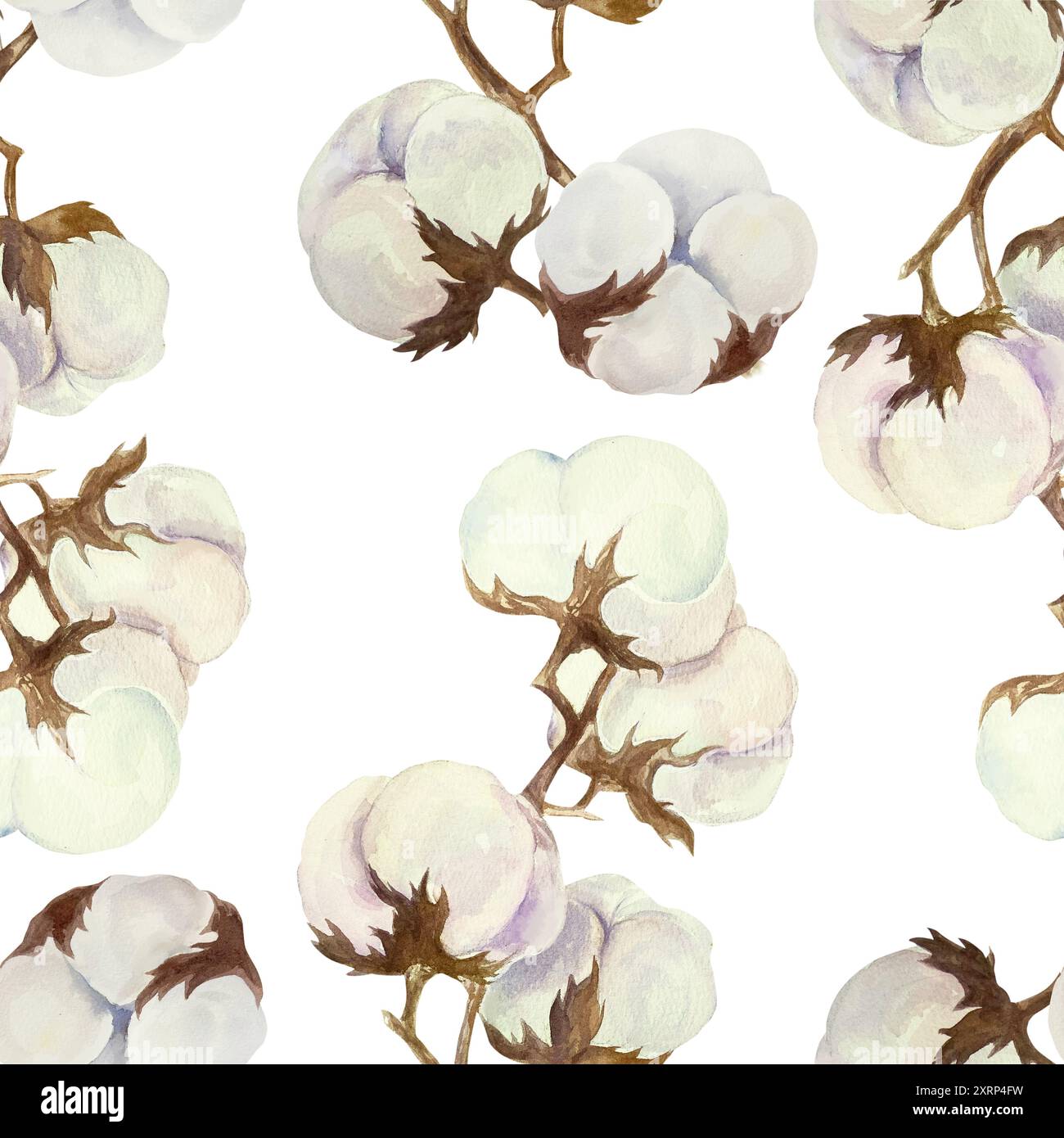 Cotton seamless pattern. Hand drawn watercolor illustration isolated on ...