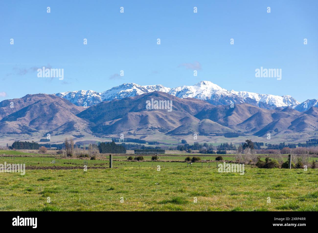 Farming paddocks and mountains near Culverdon, North Canterbury ...