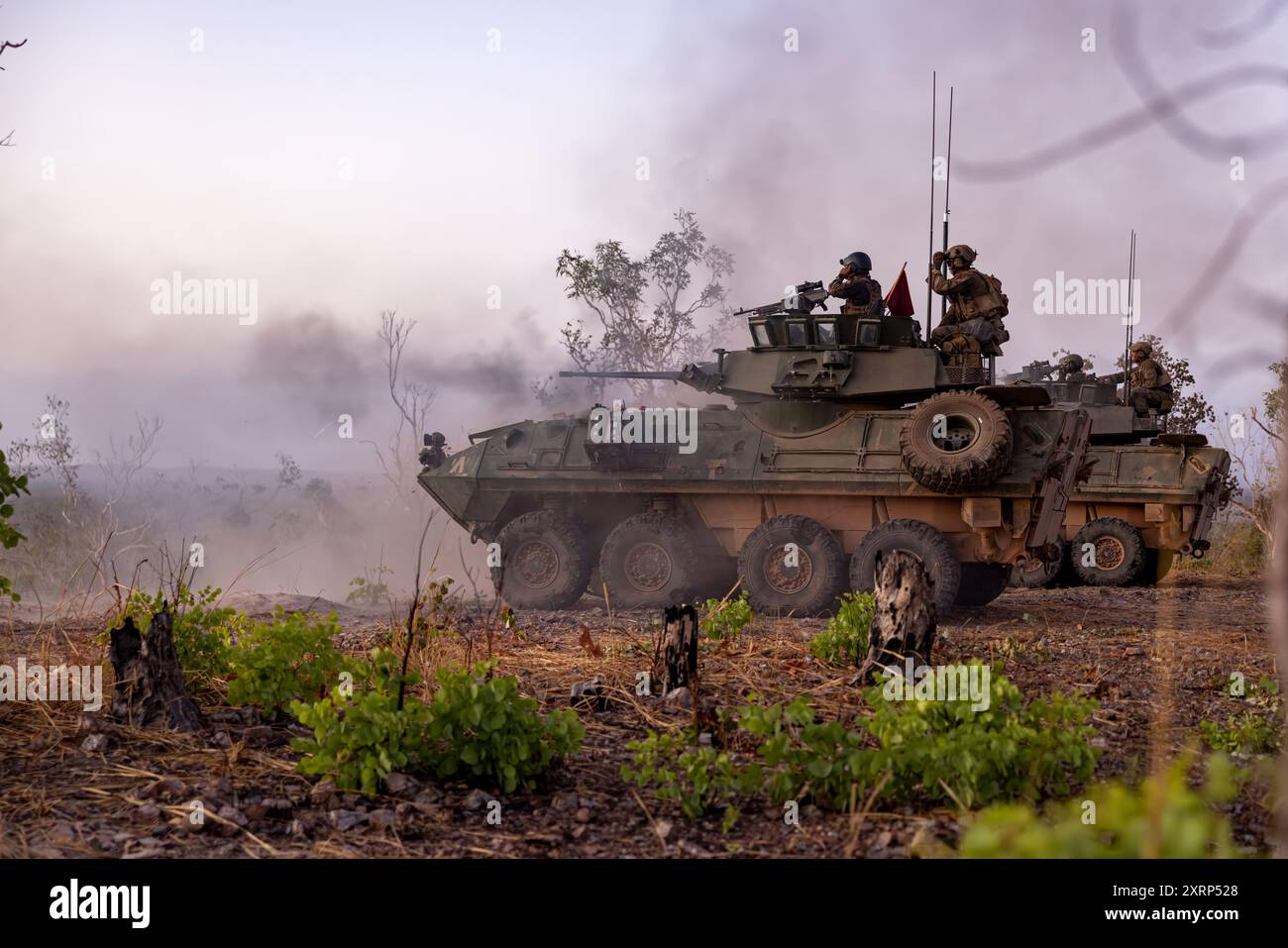 U.S. Marines with Alpha Company, 1st Light Armored Reconnaissance ...