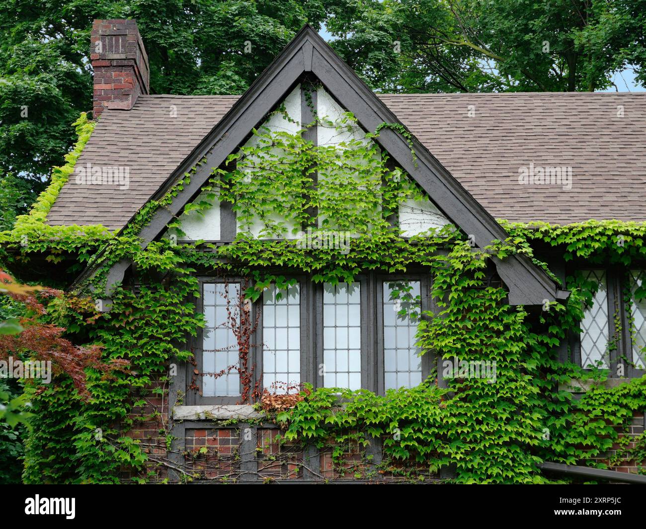 Old Tudor style house with vine covered gable Stock Photo - Alamy