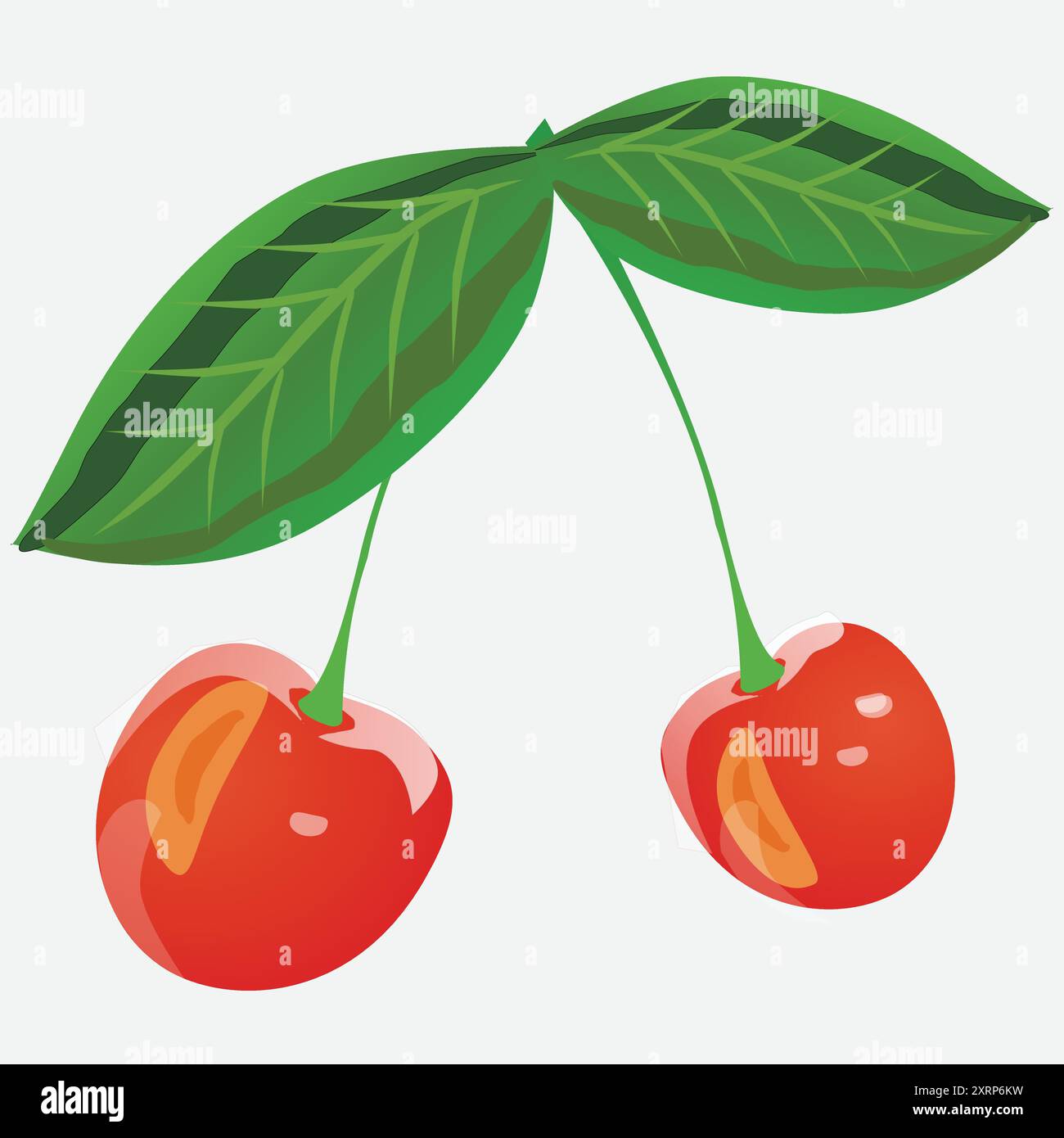 Realistic charry with leaf isolated on white background. Flat red ...