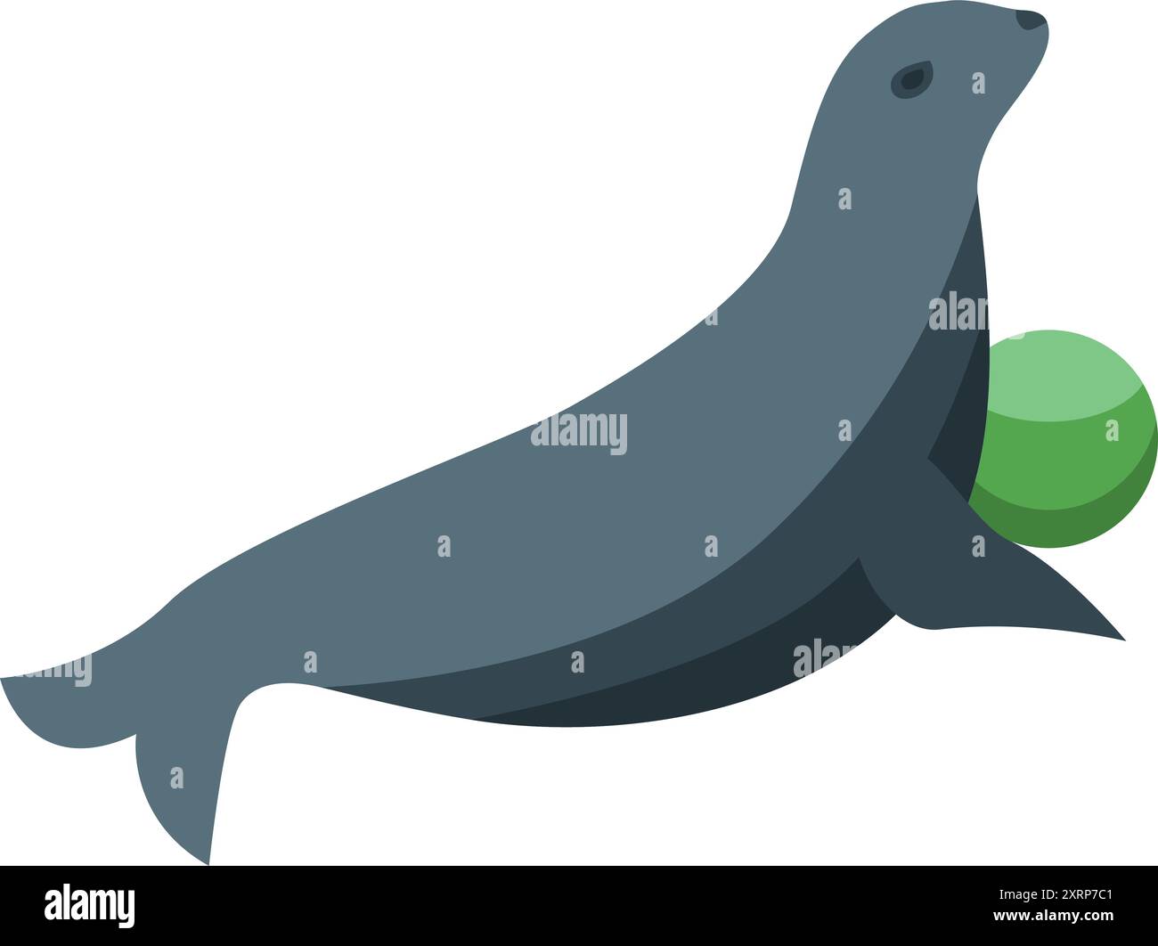 Seal balancing act hi-res stock photography and images - Alamy