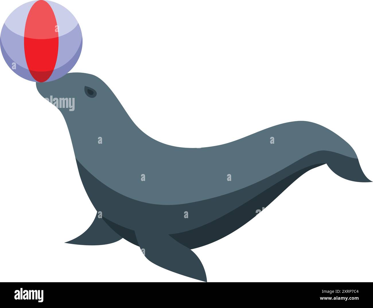 Circus seal balancing a ball on its nose during a show Stock Vector ...