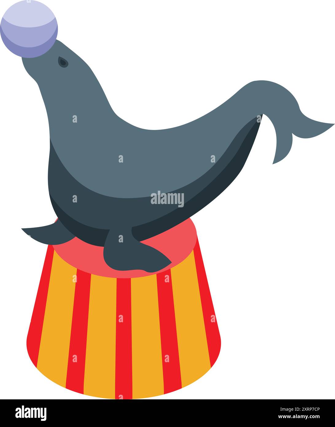 Trained circus seal balancing a ball on its nose while standing on a ...