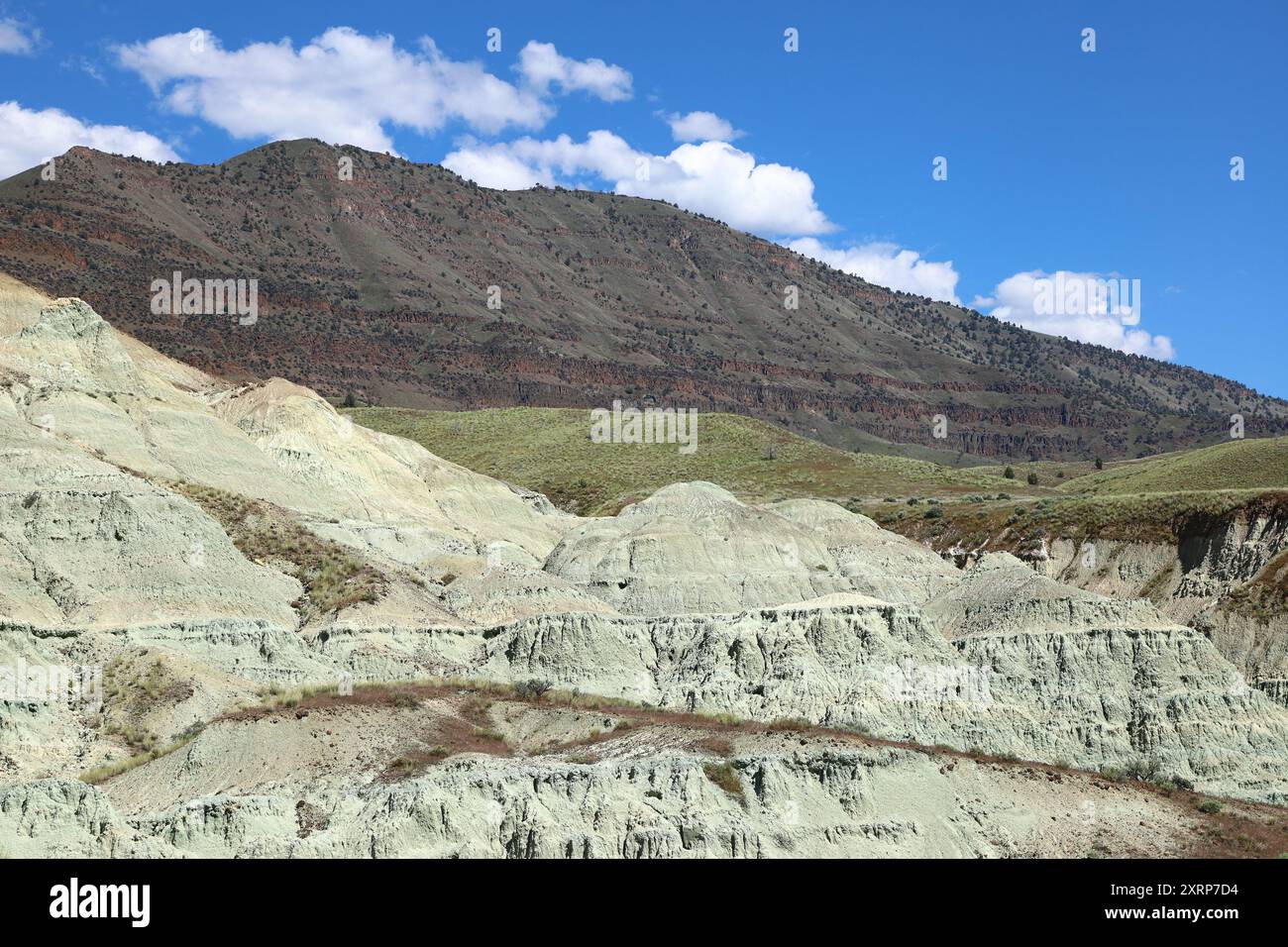 Amazing landscape of Central Oregon: the blue green clay of the ...