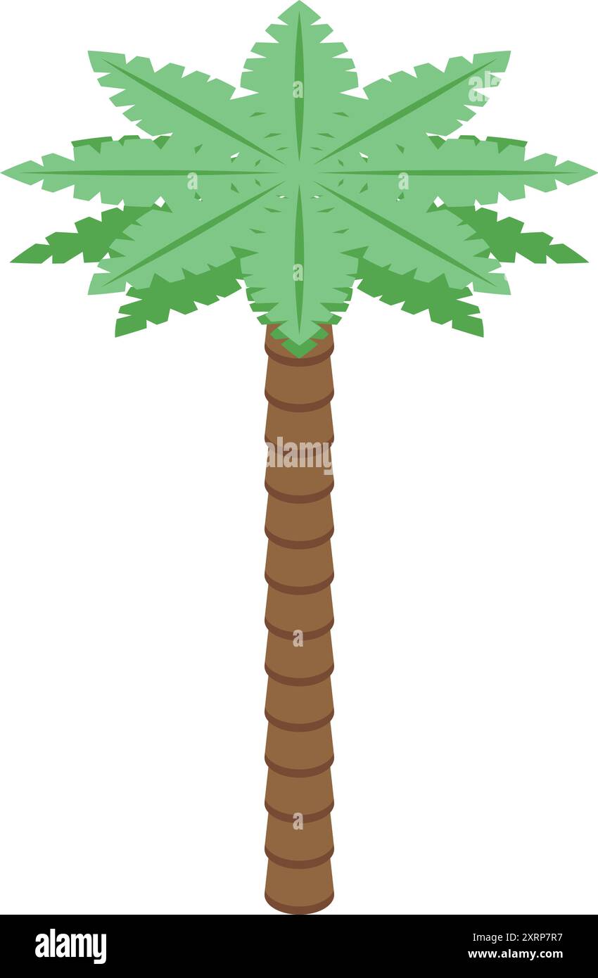 Isometric palm tree with green leaves growing in summer Stock Vector ...
