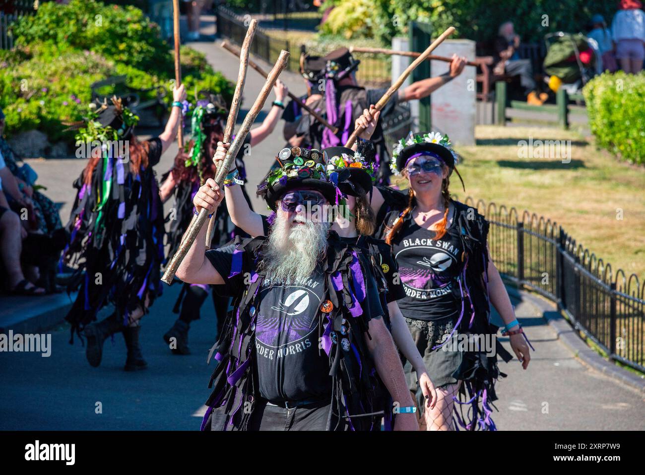 Black swan border morris group hi-res stock photography and images - Alamy
