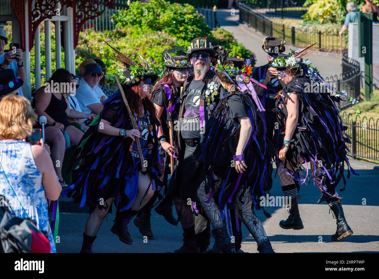 Black swan border morris group hi-res stock photography and images - Alamy