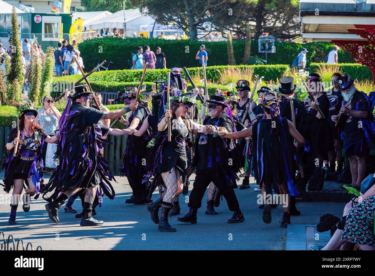 Black swan border morris group hi-res stock photography and images - Alamy