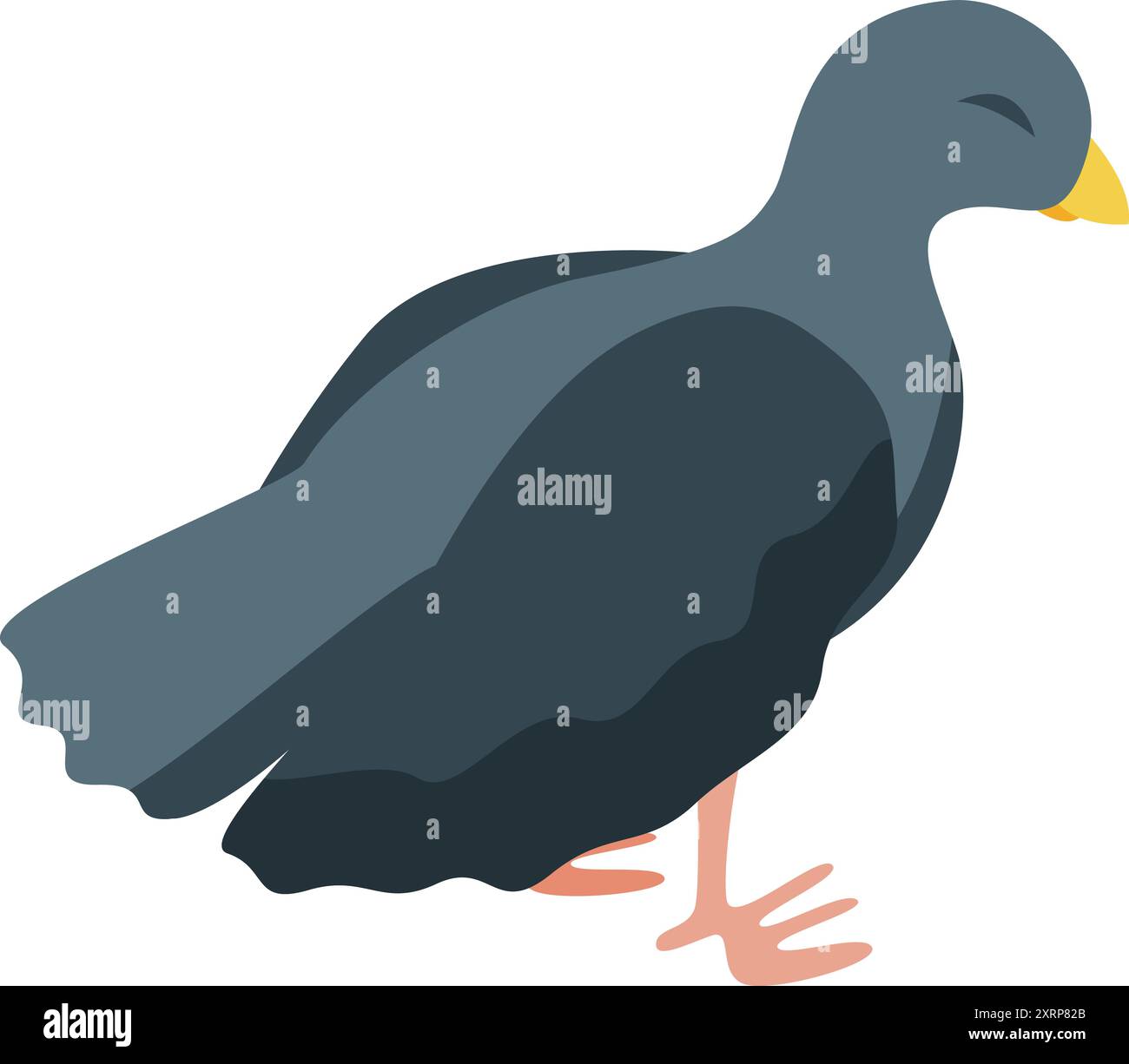 White bird full length Stock Vector Images - Alamy