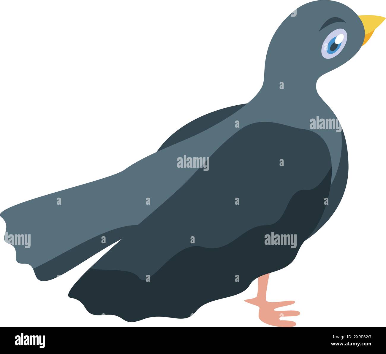 Bird looking backwards Stock Vector Images - Alamy