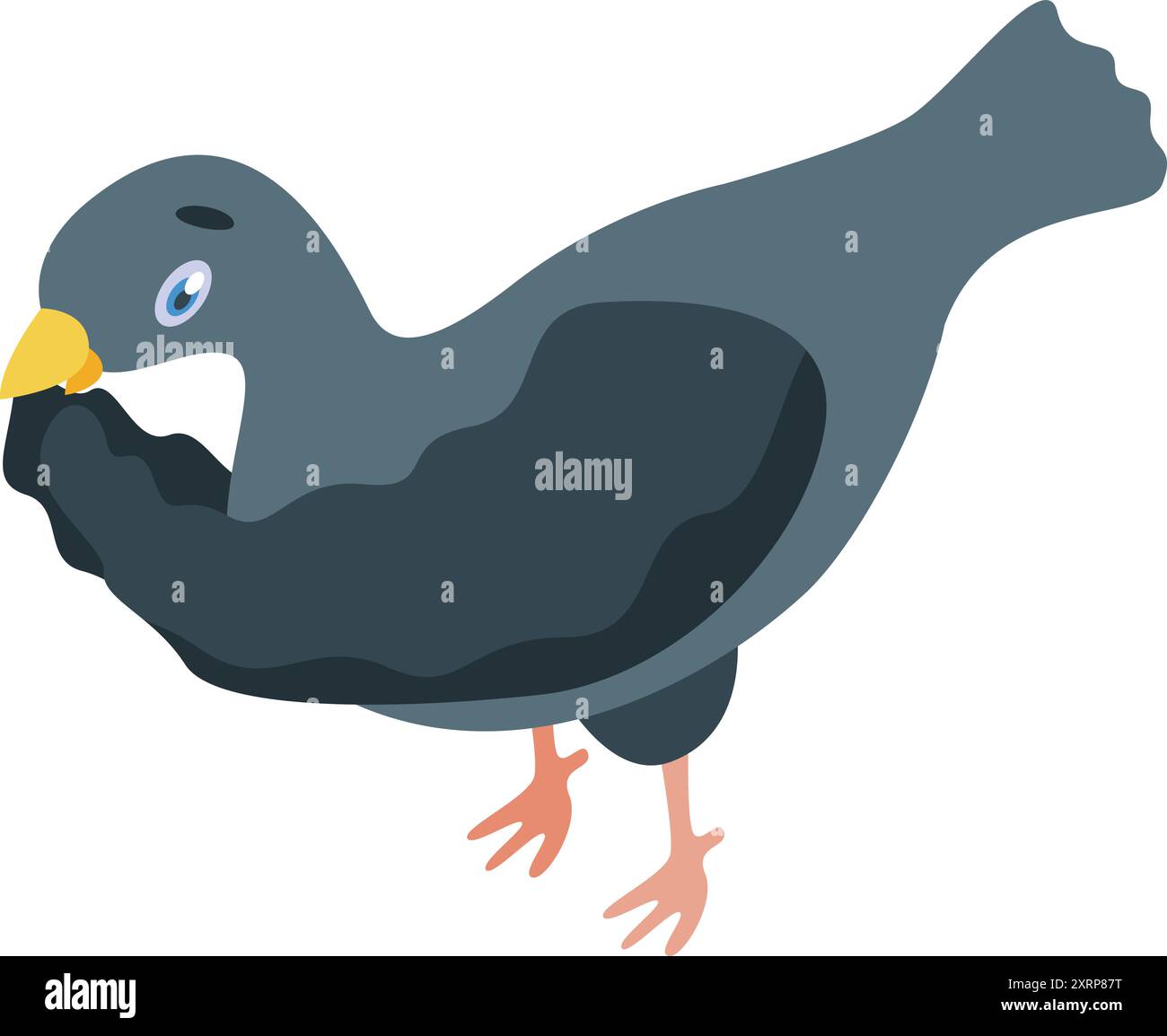 Cartoon gray city pigeon eating seeds on the street Stock Vector Image ...