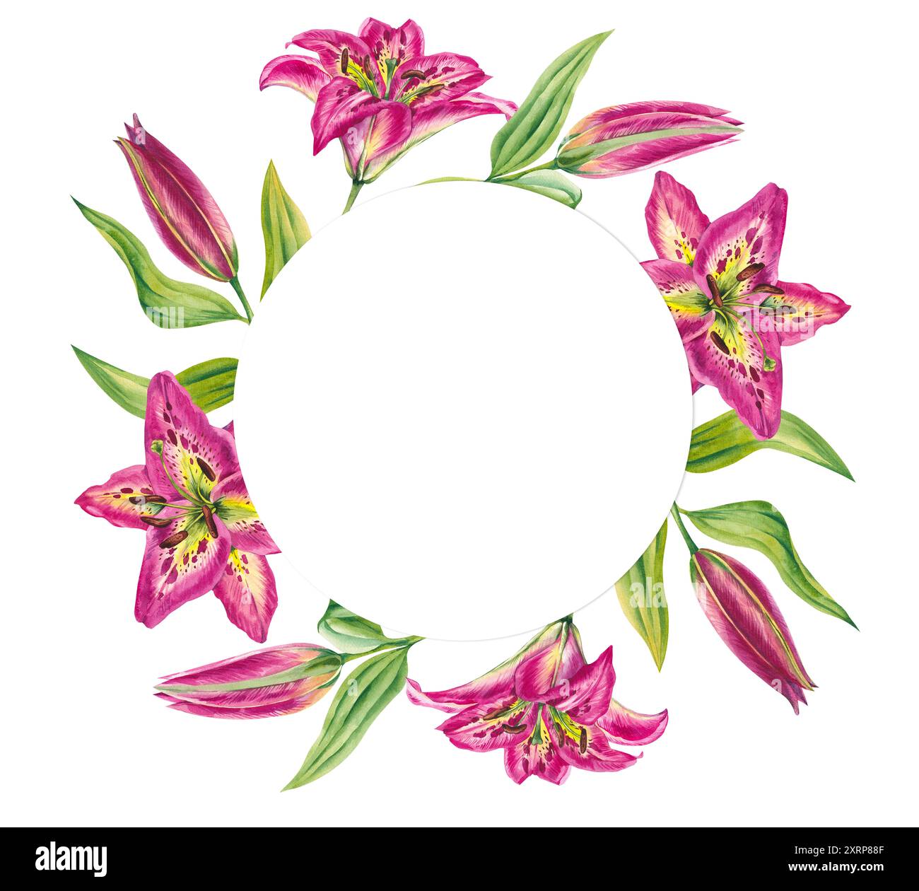 Watercolor bright lilies frame. Lilies frame background. Hand-drawn ...