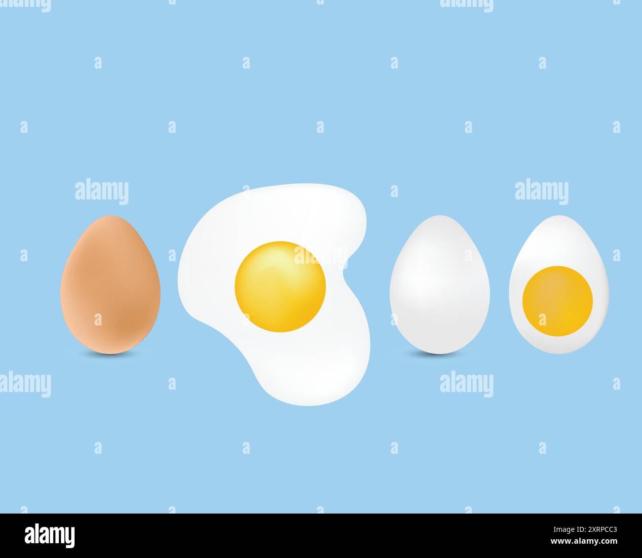 Fresh brown egg on Stock Vector Images - Alamy