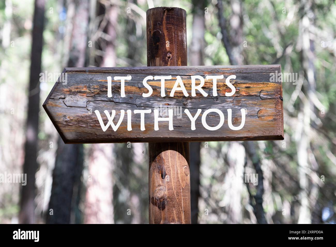 Success starts discipline symbol hi-res stock photography and images ...