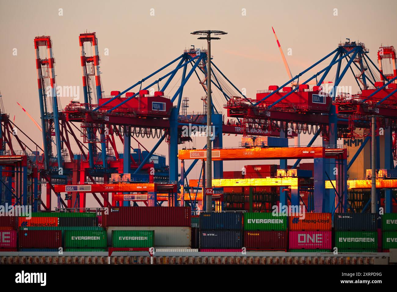 Hamburg, Germany. 12th Aug, 2024. Containers are stored and loaded at Hamburger Hafen und ...
