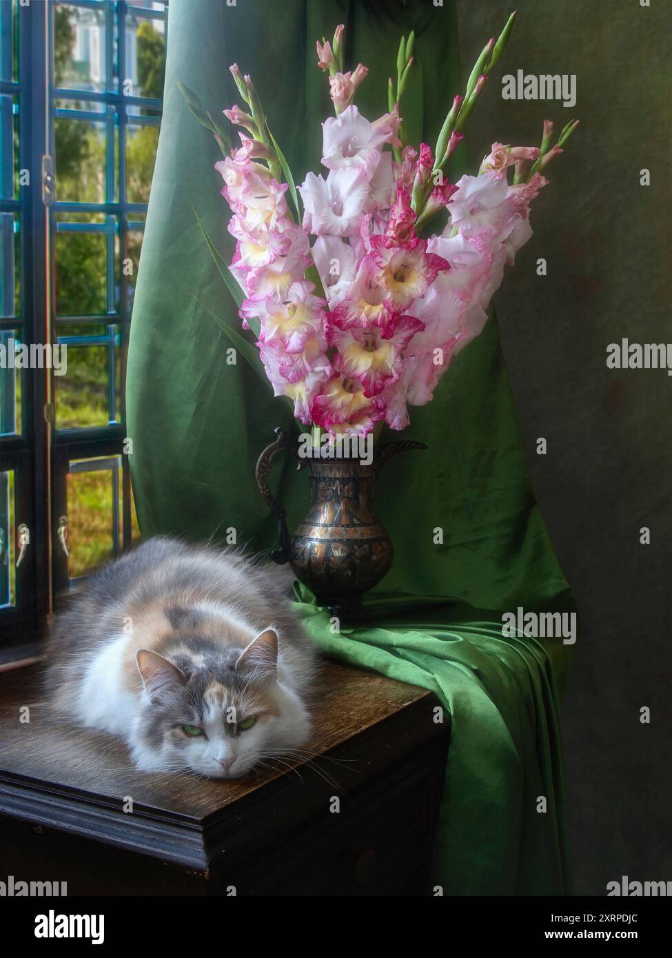 Still life with bouquet of gladiolus and curious kitty Stock Photo - Alamy