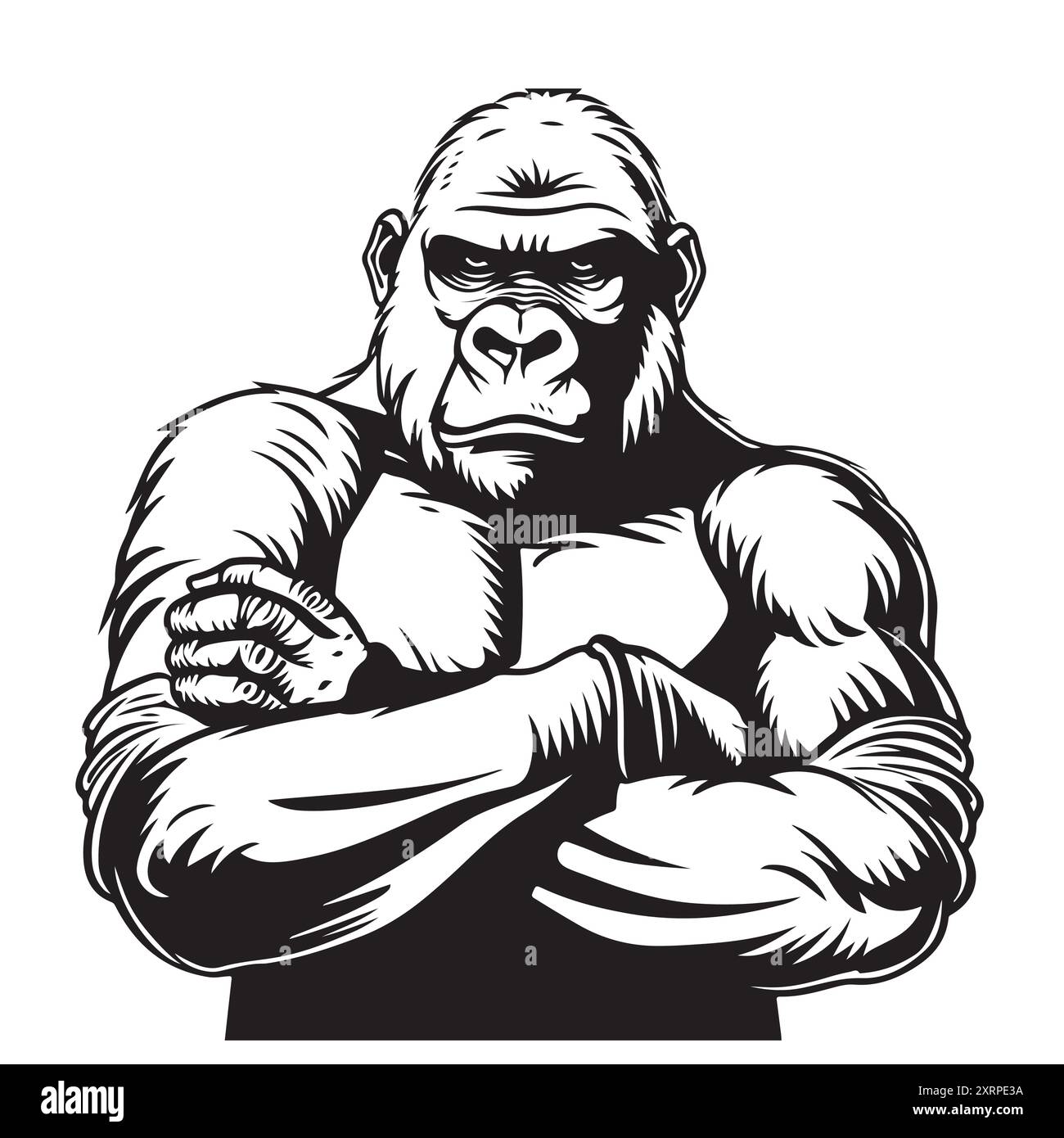 Gorilla Illustration Hand Drawn Isolated Vector illustration Stock ...