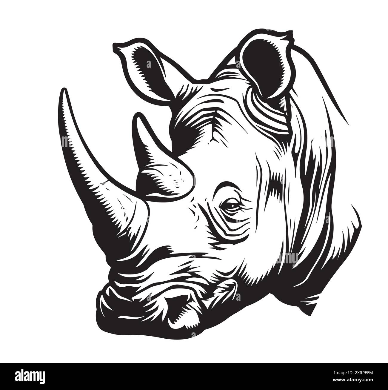 Rhino drawing face Black and White Stock Photos & Images - Alamy