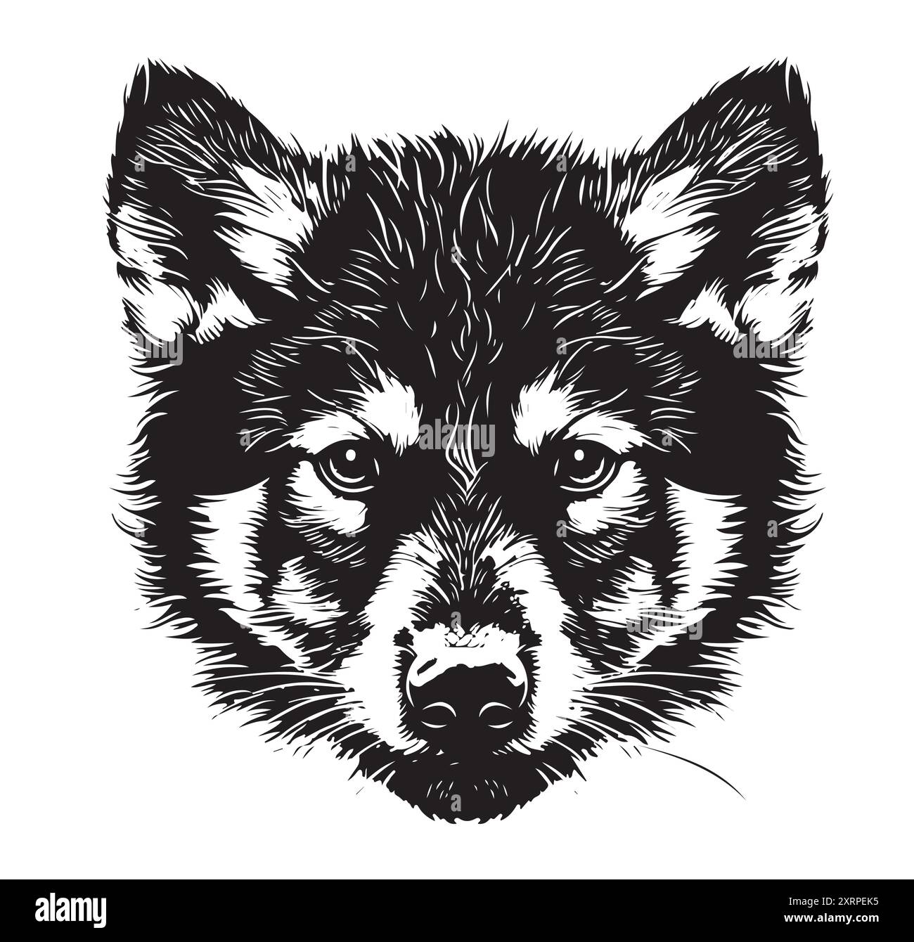 Wolf Cub Drawings Face Wolf Cub Drawing Etsy UK