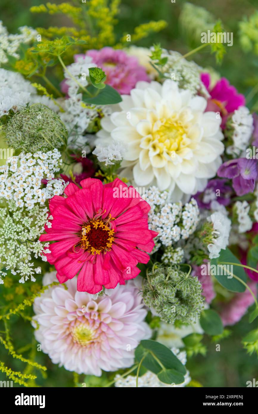 Summer bouquet top view close up. Beautiful multi colored fresh flower ...