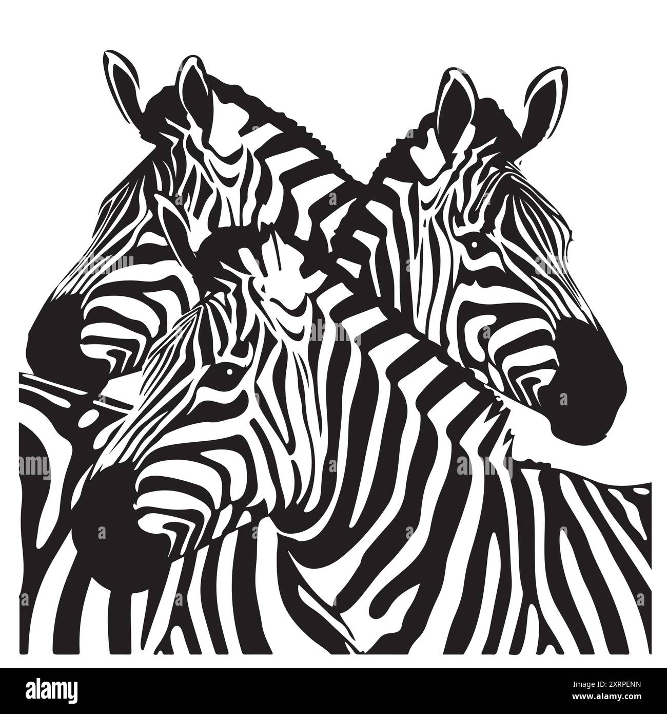 Drawing of the wild horse with black and white stripes hi-res stock ...