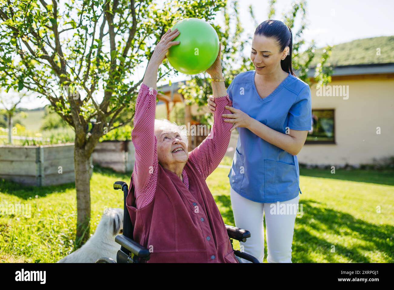 Female caregiver doing motorized exercises with senior woman in ...