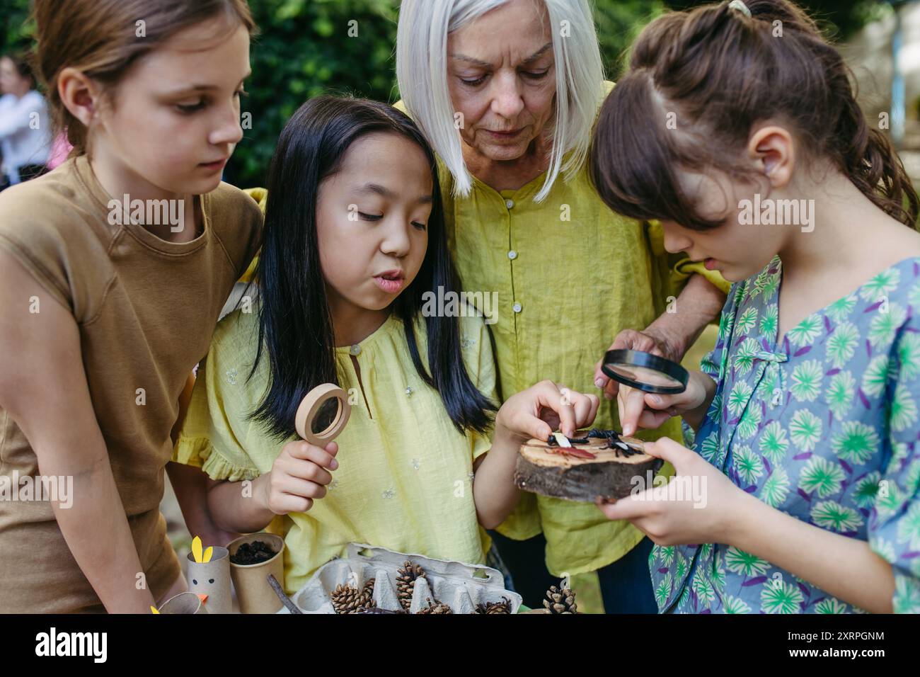 Children looking at models of insect, learning about wildlife during ...