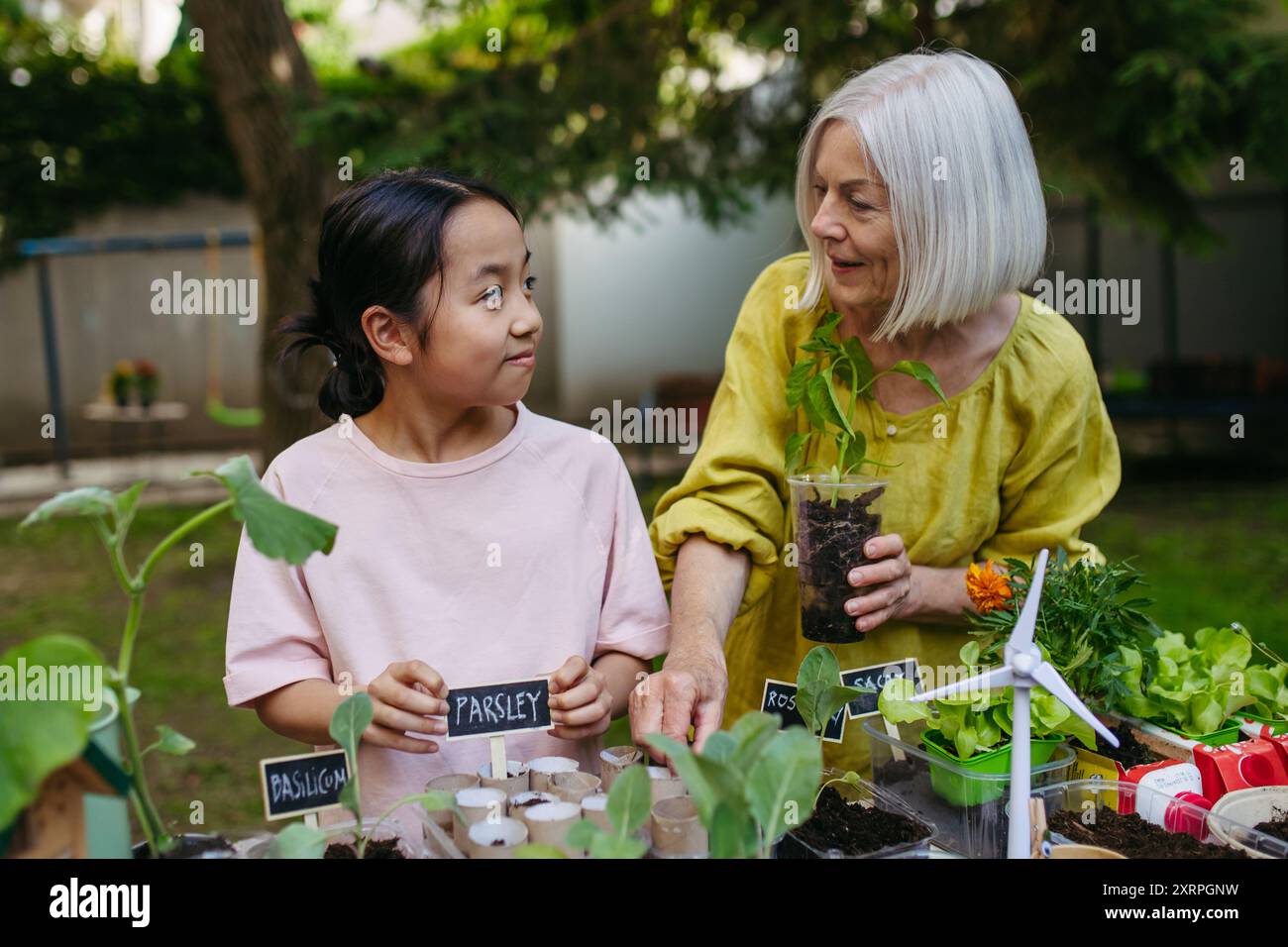 Girl student growing vegetable and herb seedlings, teacher helping her ...