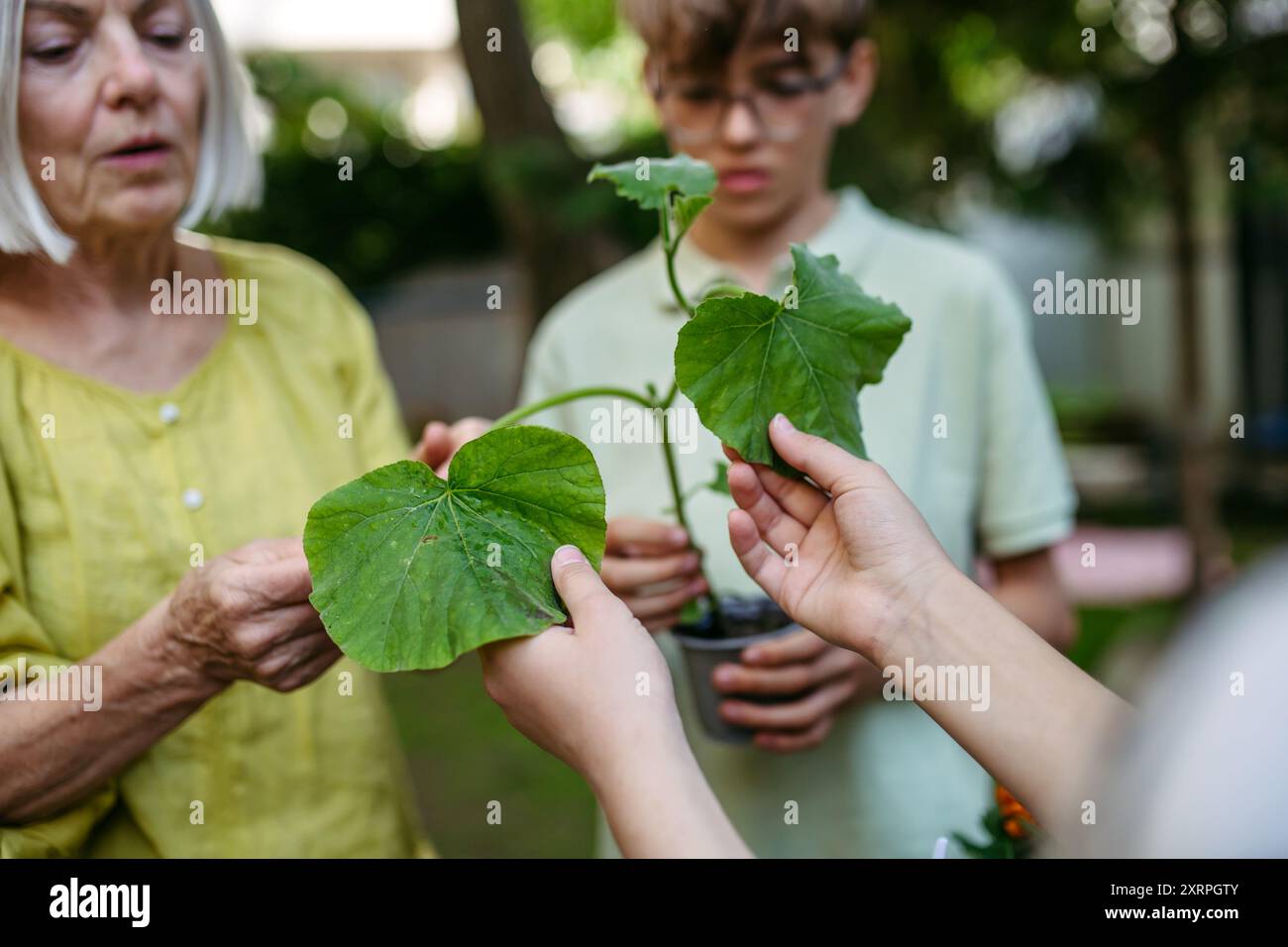 Children learning about vegetable seedlings and gardening at outdoor ...