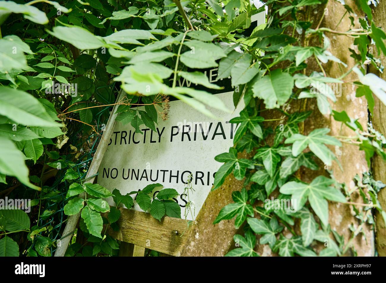 Partly obscured sign hi-res stock photography and images - Alamy
