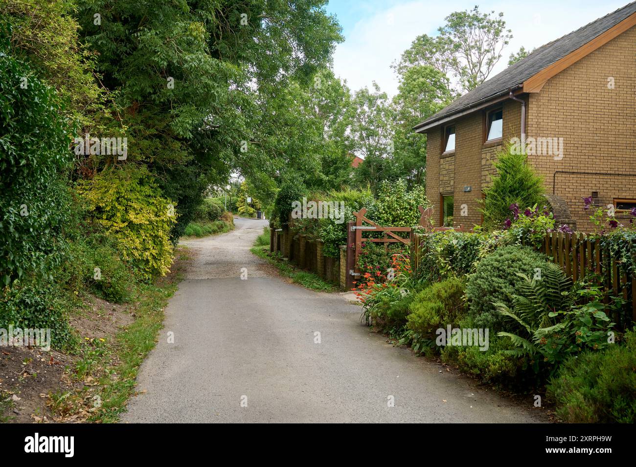 Traffic free country lane hi-res stock photography and images - Alamy