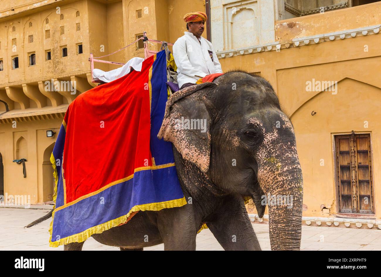 Man riding an elephant hi-res stock photography and images - Alamy