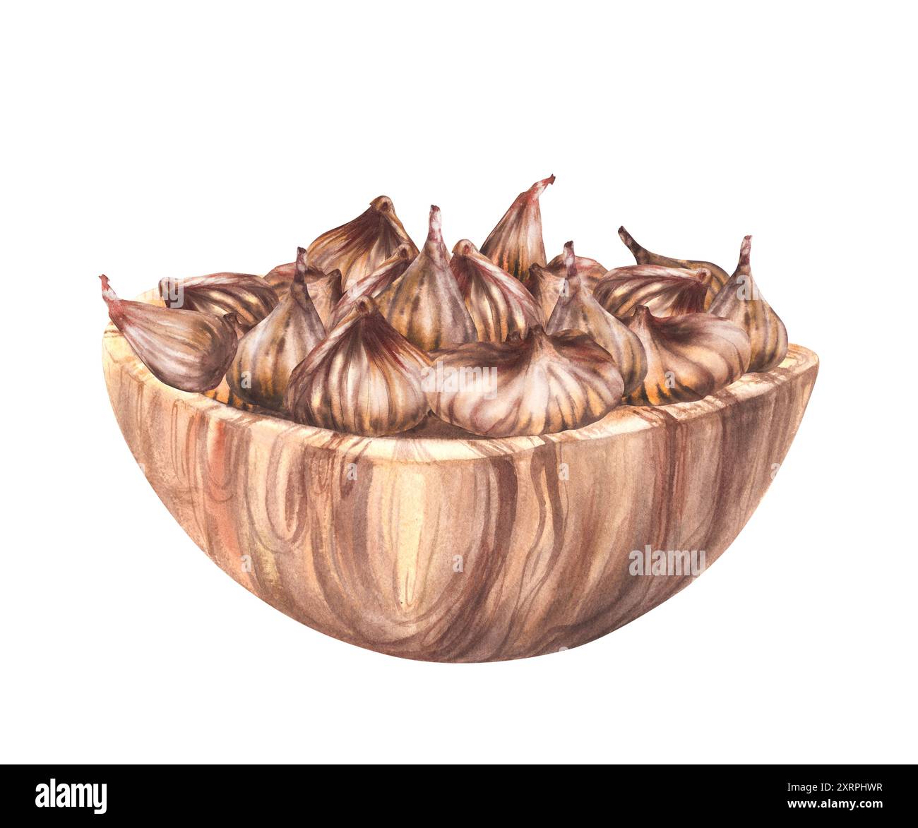 Watercolor Dried figs in wooden bowl. Dry fruit harvest. Handful vegan ...