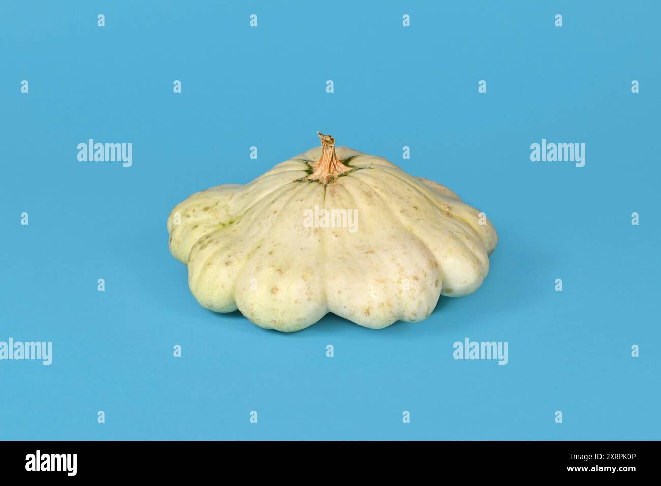 Light yellow Pattypan squash with round and shallow shape and scalloped ...