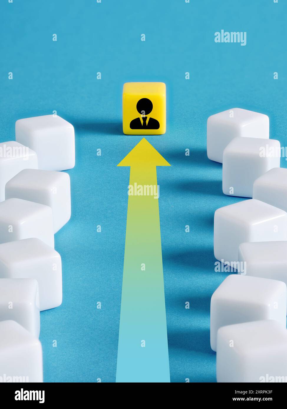 Candidate icon hi-res stock photography and images - Alamy