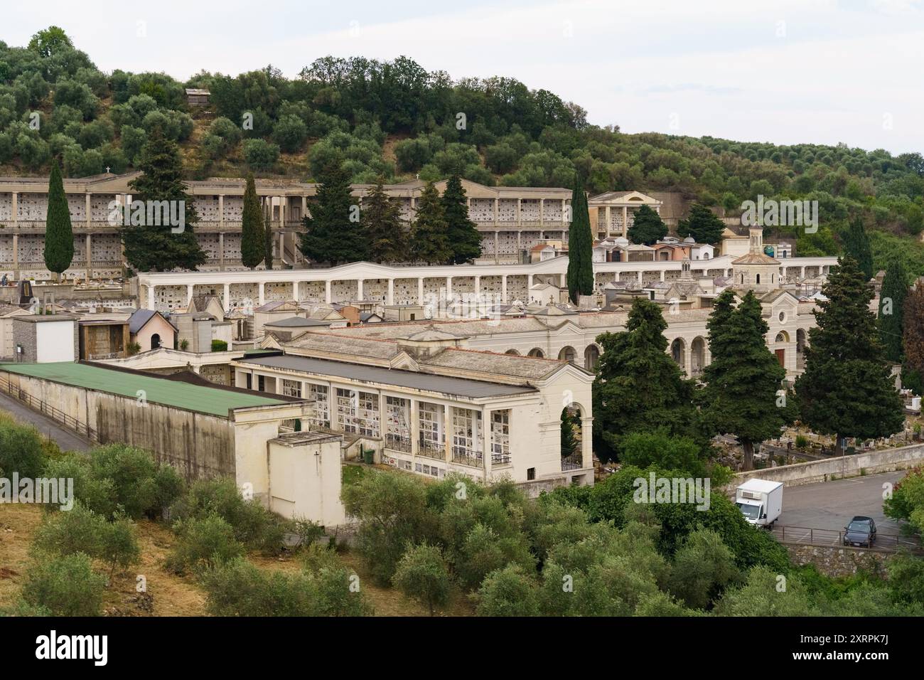 Death among life hi-res stock photography and images - Alamy