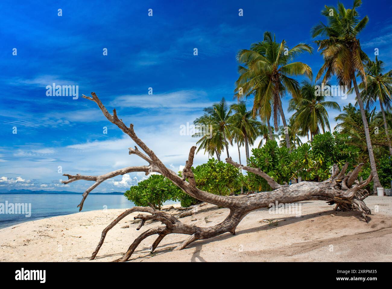 Kalanggaman island beach, Malapascua, Cebu, Philippines Stock Photo - Alamy