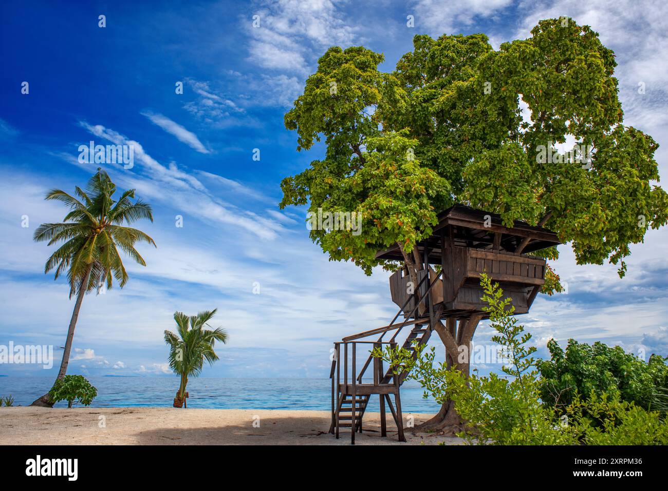 Tree house for rent to relax on the beach in the island beach in the ...