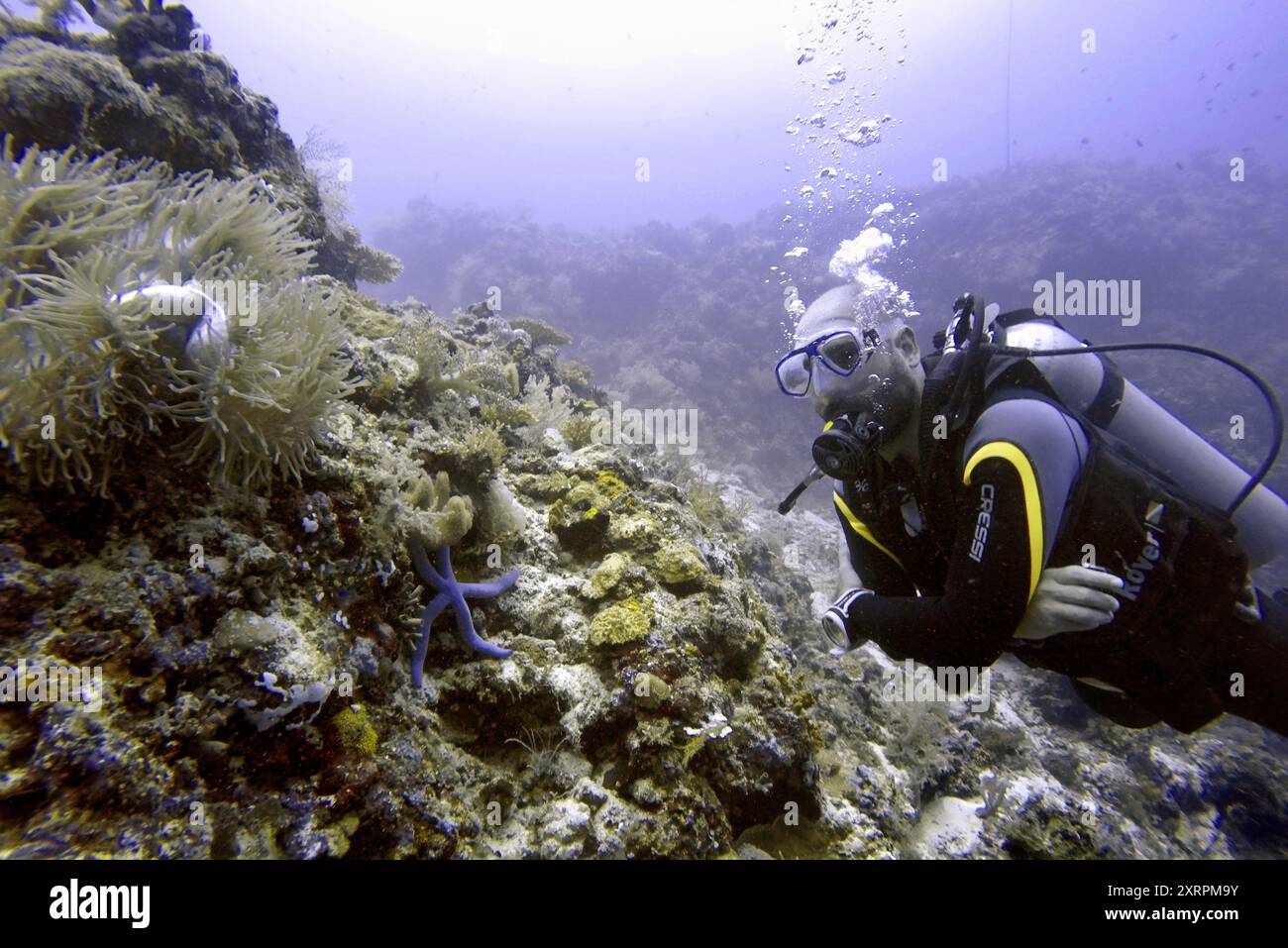 Philippines, malapascua island diving, manifold versatile multiplex ...