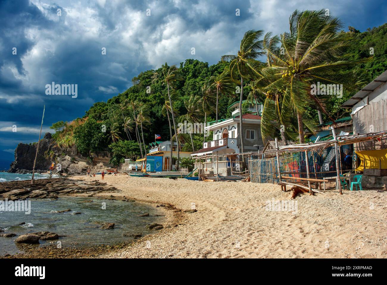 The seafront at Apo Island, beach and protected landscape and seascape ...
