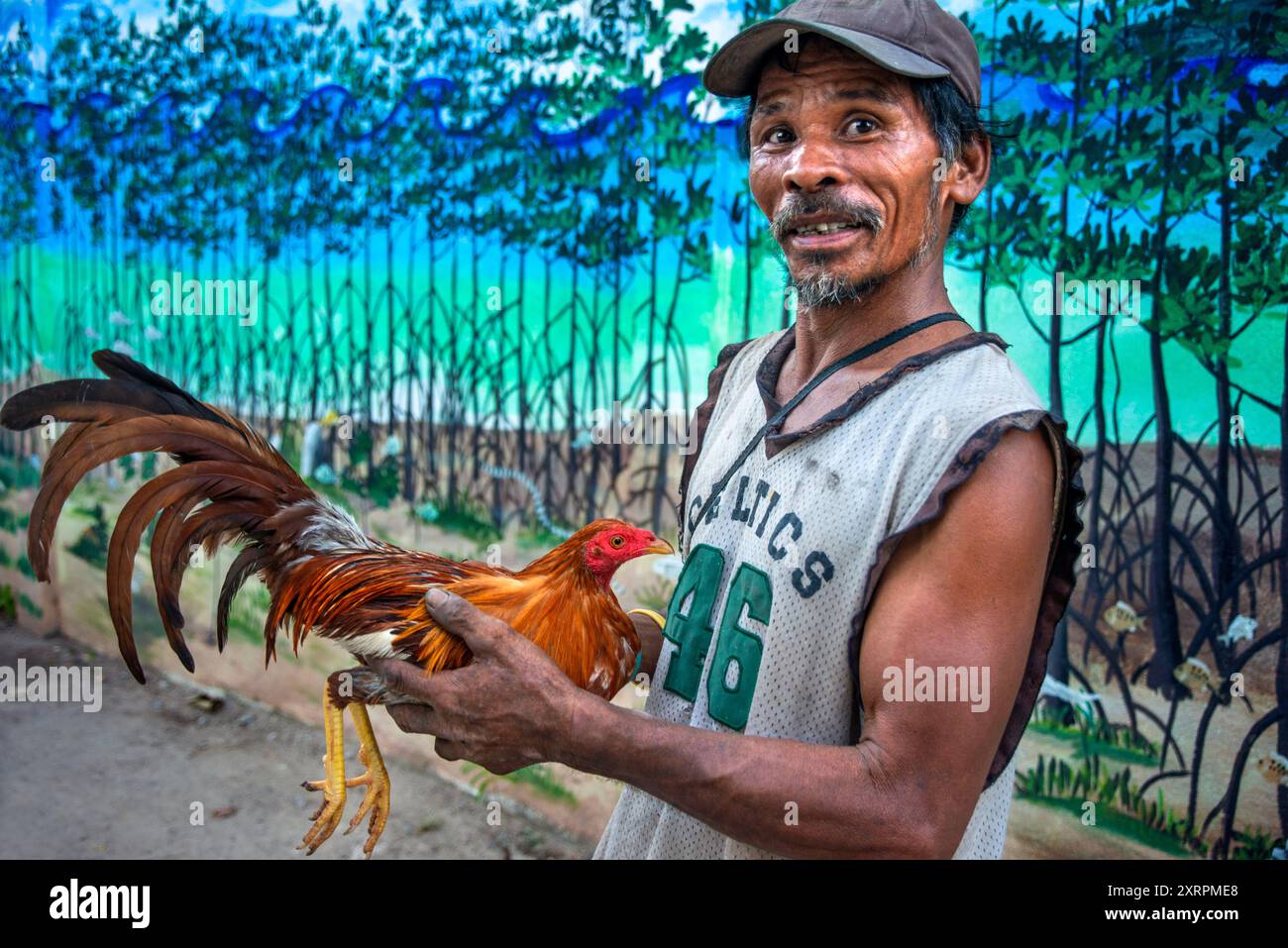 Local people with a game-cook fighting cook in Sipaway Island, San ...