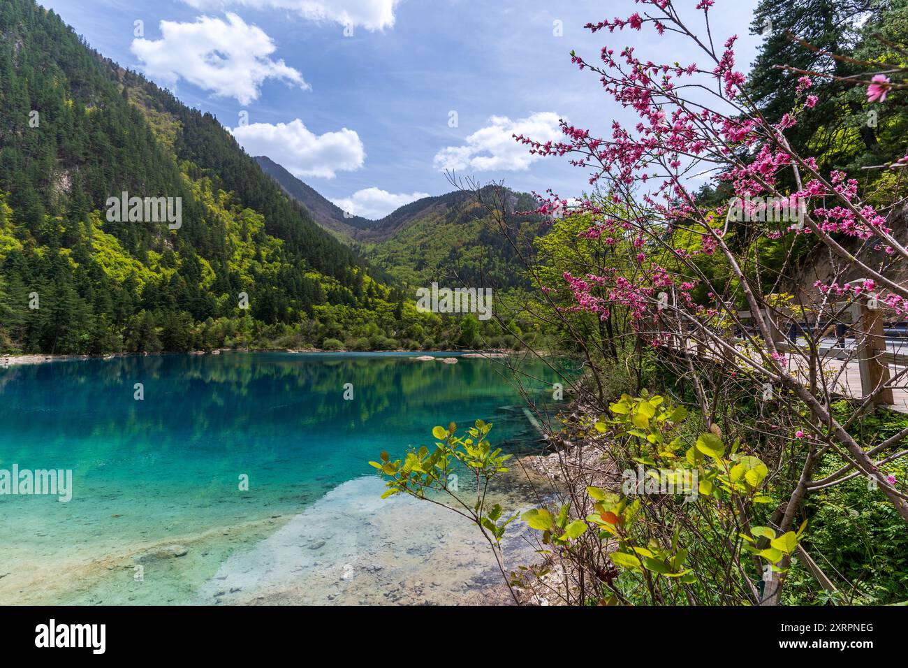 Stunning blue lake in Jiuzhaigou National Park, Sichuan, China Stock ...