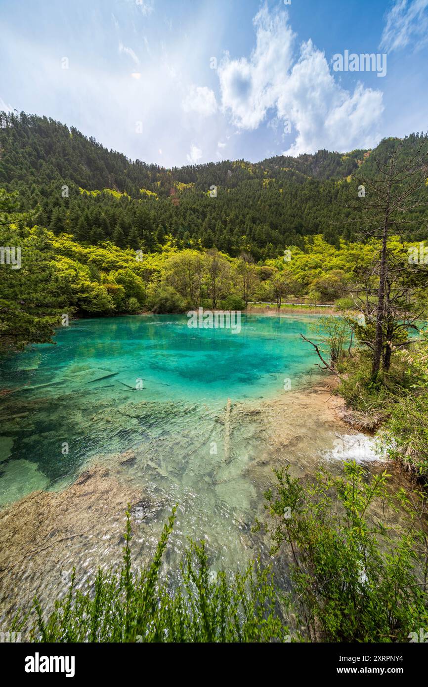 Double dragon lake hi-res stock photography and images - Alamy