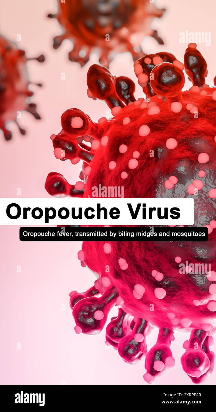 Oropouche virus that causes Oropouche fever, an emergent disease from ...
